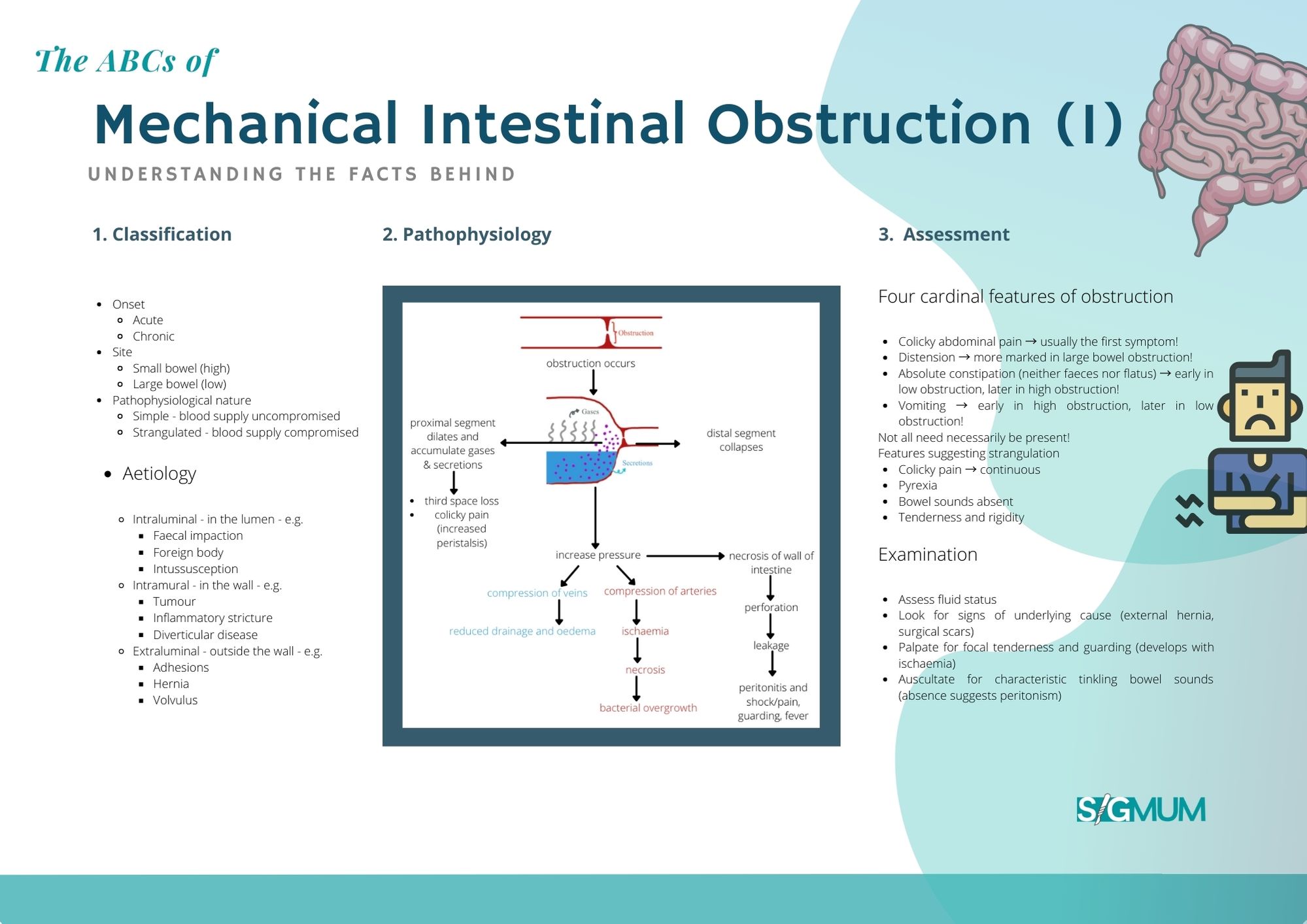 ABCs of: Mechanical Intestinal Obstruction – Surgical Interest Group of ...