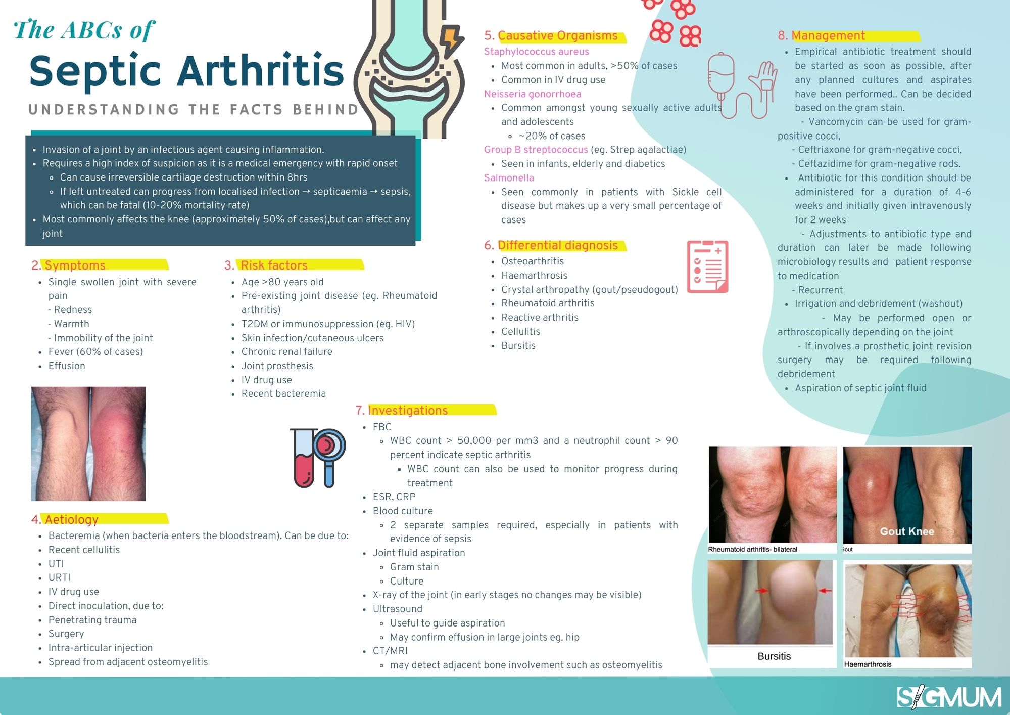 ABCs of: Septic Arthritis – Surgical Interest Group of Monash ...