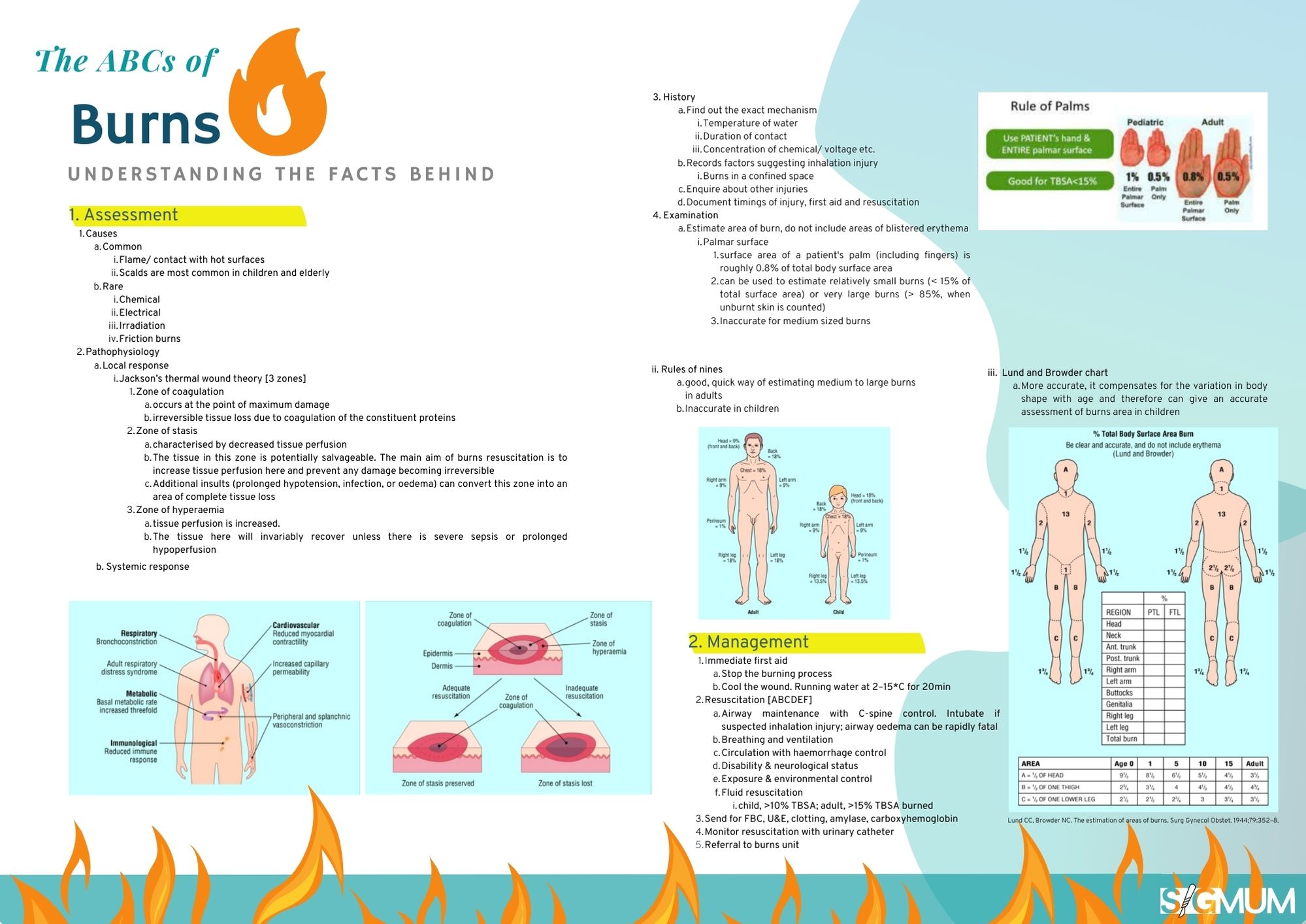 ABCs of: Burns – Surgical Interest Group of Monash University Malaysia