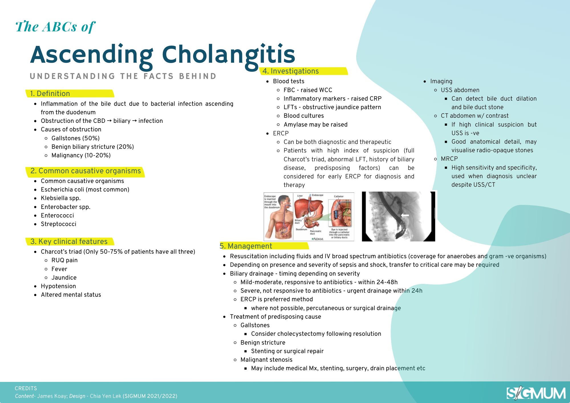 ABCs of: Ascending Cholangitis – Surgical Interest Group of Monash ...