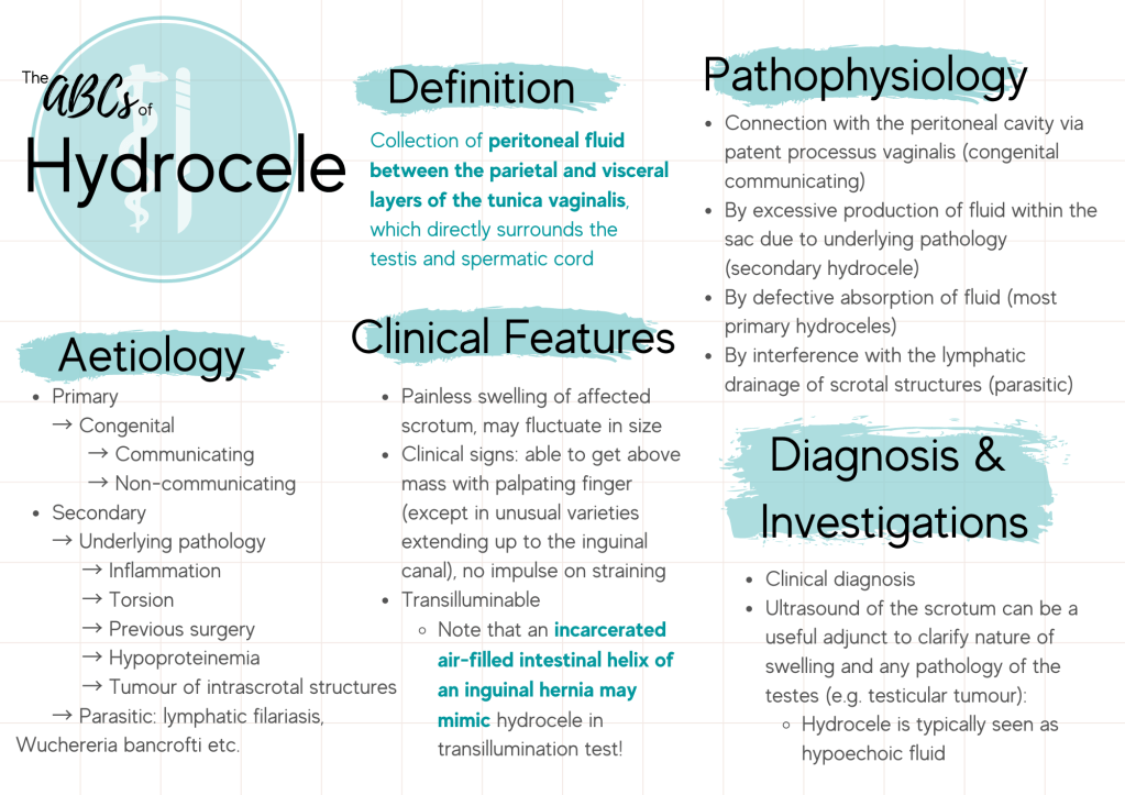 ABCs of: Hydrocele – Surgical Interest Group of Monash University Malaysia
