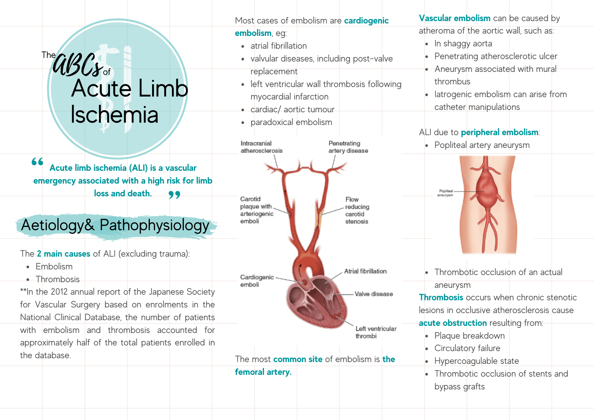 ABCs of: Acute Limb Ischemia – Surgical Interest Group of Monash ...